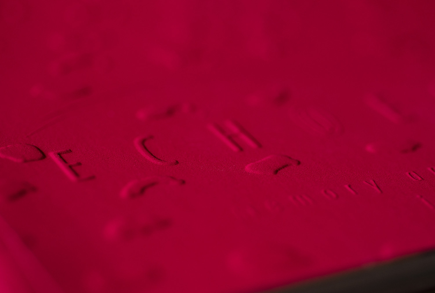 Echoes of Home | Kathrin Kohl